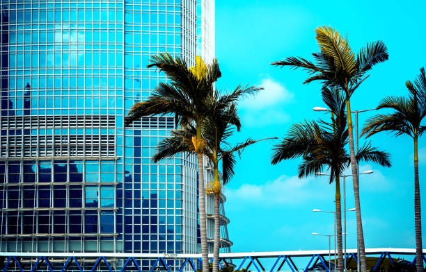 Unleash Miami Magic: Journey into Creativity with Our Top-Tier Creative ...