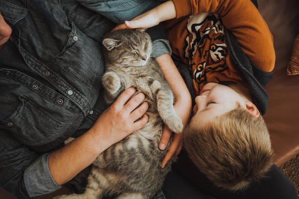 Why do Animals Make Humans Feel Better? | by Sophia Zapata Garcia | Apr ...