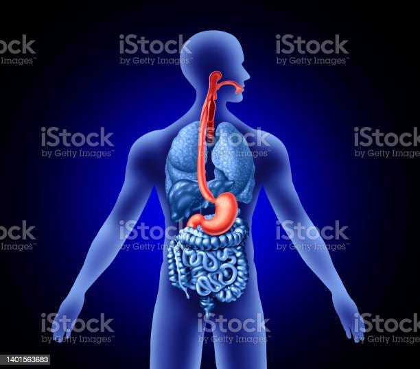 GERD -Gastroesophageal reflux disease | by Faizan Abaid | Medium