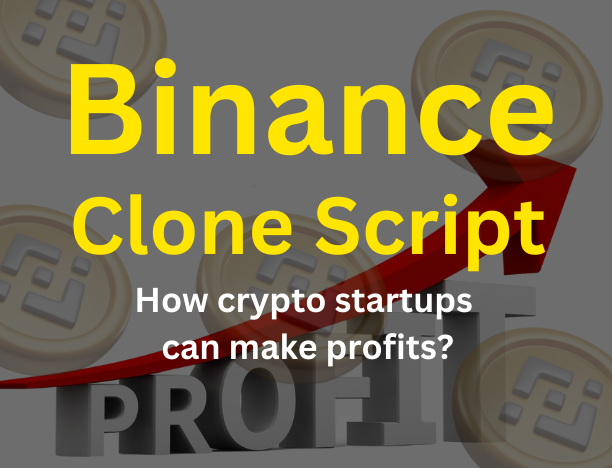 How Crypto Startups Can Make Profits With Binance Clone Script