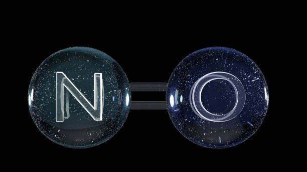 Nitrogen Monoxide Manufacturing Plant Project Report 2024 ...