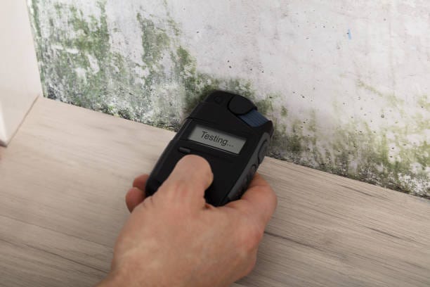 Conquer the Invisible Foe: Black Mold Cleanup Strategies Unveiled | by ...