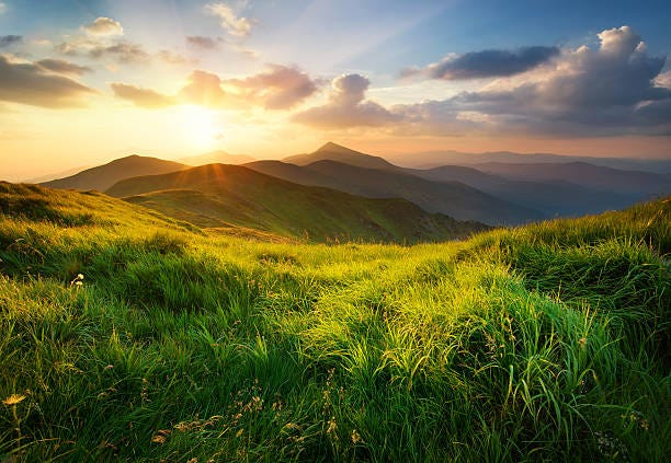 A Dawn to Remember - Tim Carmichael - Medium