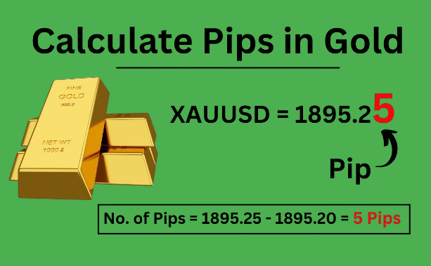 Pip Profit Calculator: How To Calculate Pips – ATCYE