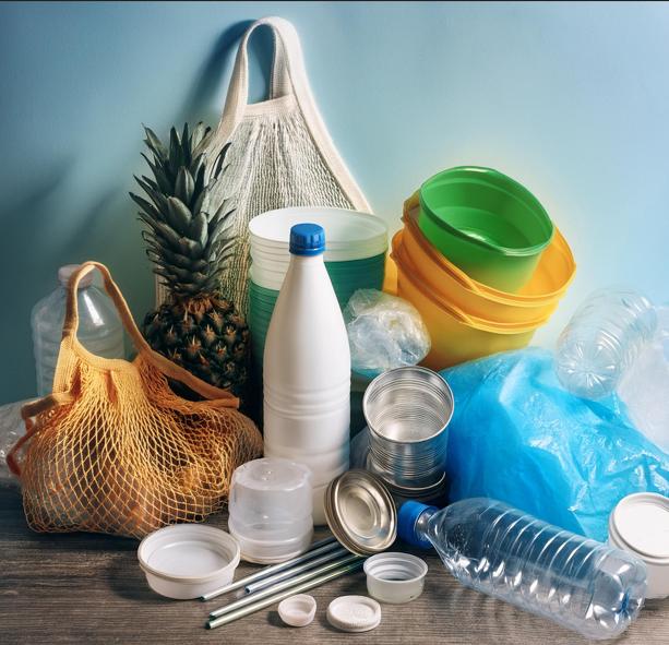 The Plastic Pollution: How Everyday Products Affect Our Planet and How ...