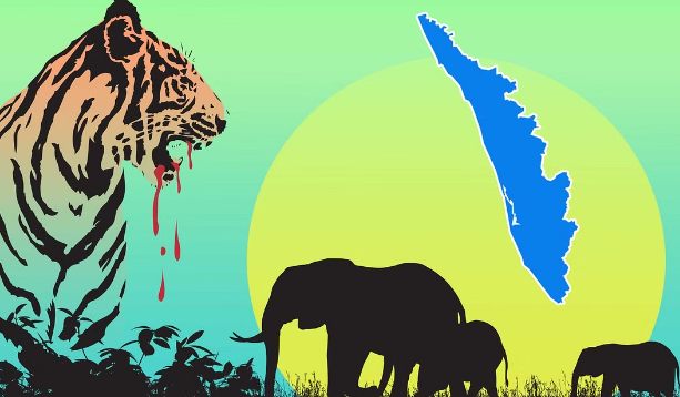 Defining the Human-Wildlife Conflict in Maharashtra, India | by Anshdha Nandra | Medium