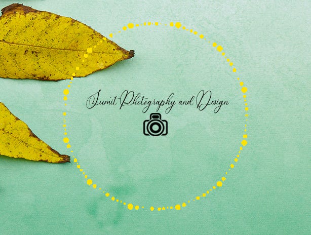 Steps To Turn Your Photography Hobby Into A Career? Are | by ...