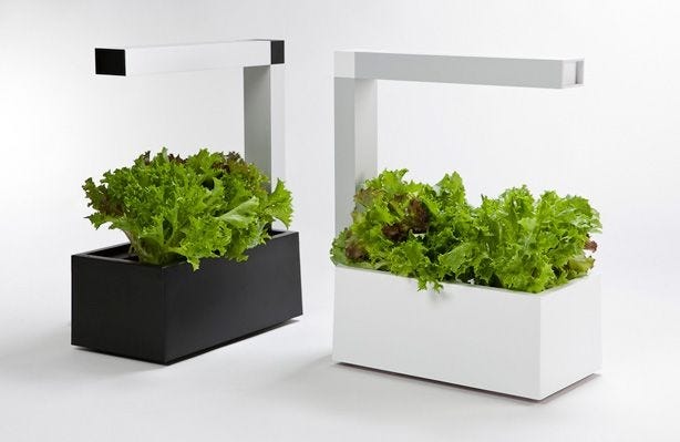 How Do You Choose A Trustworthy Online Hydroponic Retail Store? | by ...