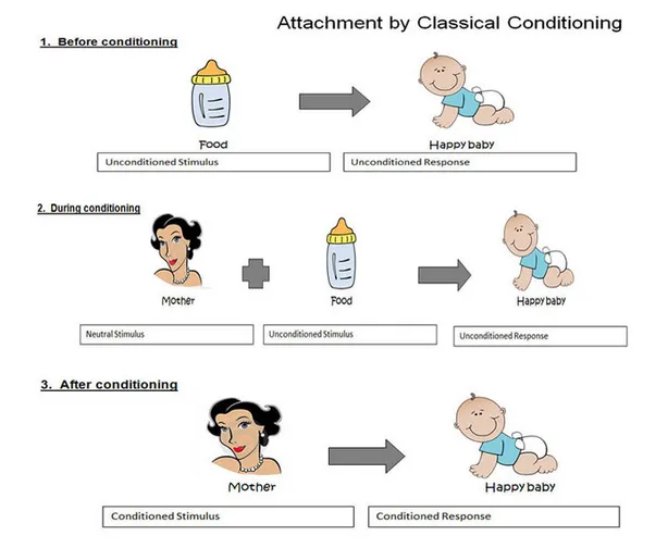 Primary Caregiver Attachment at Edward Huffine blog