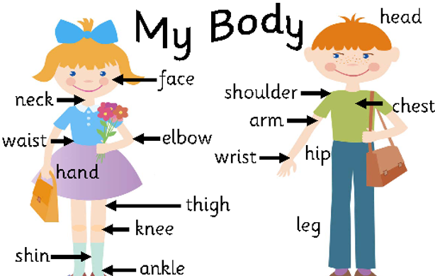 Little Kids Private Parts