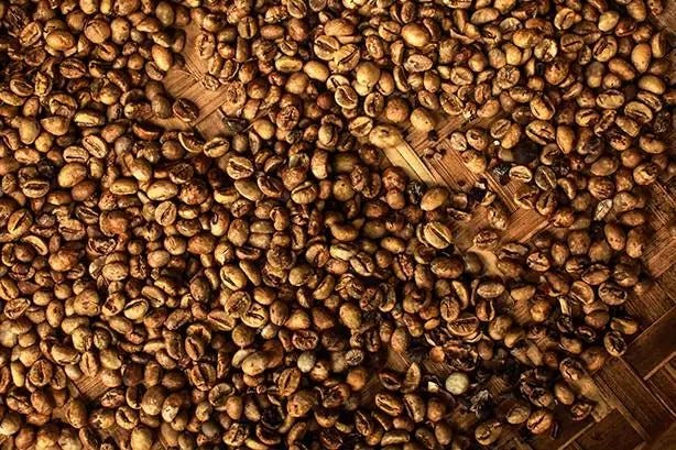 Wide Variety of Coffee in Indonesia | by Davionempwuyxa | Medium