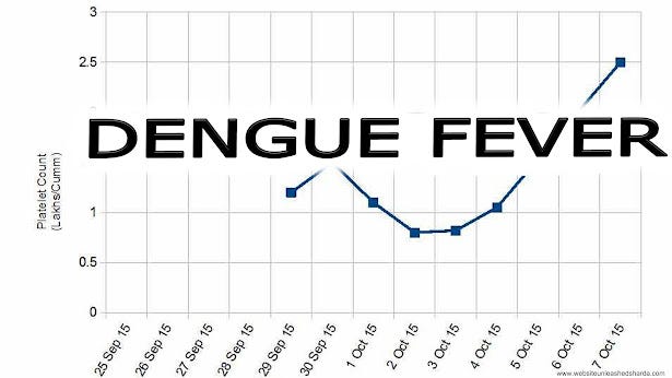 Dengue Fever Experience. Dengue Fever Experience | by Website Unleashed Sharda | Jul, 2024 | Medium