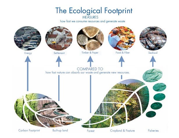 What is Ecological Overshoot?. What is ecological overshoot and why is ...
