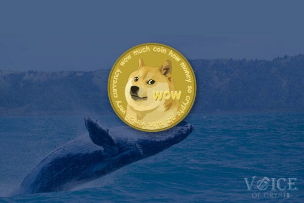 Can Dogecoin Whales Shield DOGE from PEPE? | by VoiceOfCrypto | Medium
