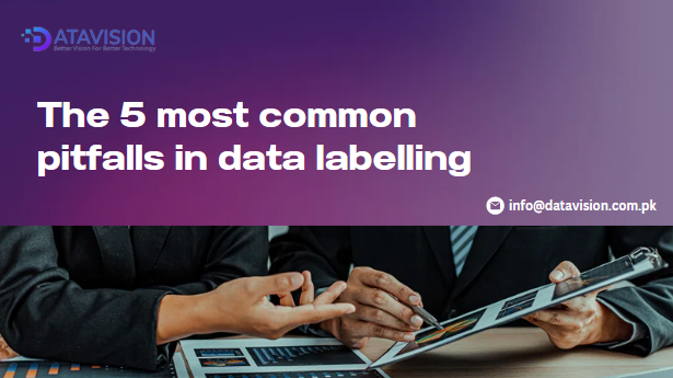 The 5 most common pitfalls in data labelling | by Data Vision (Pvt) Ltd | Medium