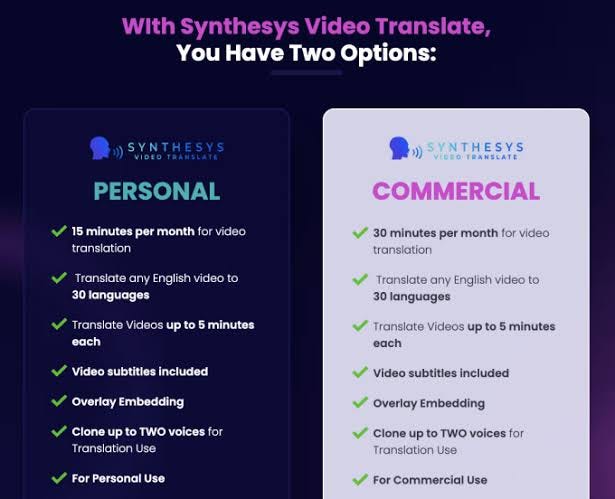 Synthesys Video Translate Review: Revolutionizing Multilingual Video ...