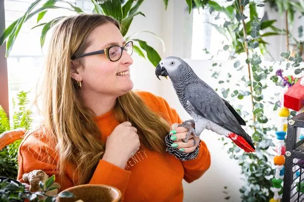 Psychic Parrot Picks Perfect Lottery Numbers: Fact or Fluke? | by Aleks ...