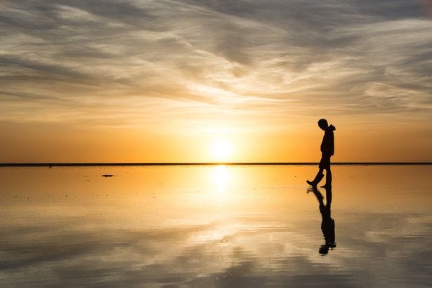 Taking Flight to Success. Imagine | by Talen Hurd | Medium