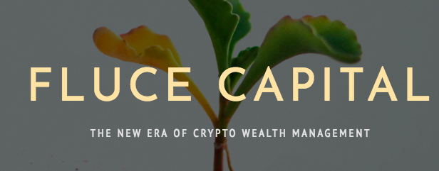 What is Fluce Capital? Introducing the Ethical Crypto Fund | by Ivan ...