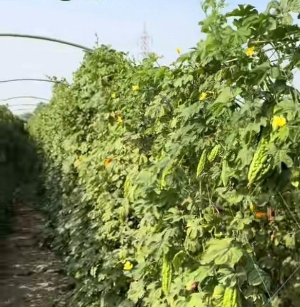 _Reasonable Development:. The Road to a Food-secure Future_ | by Khalid ...