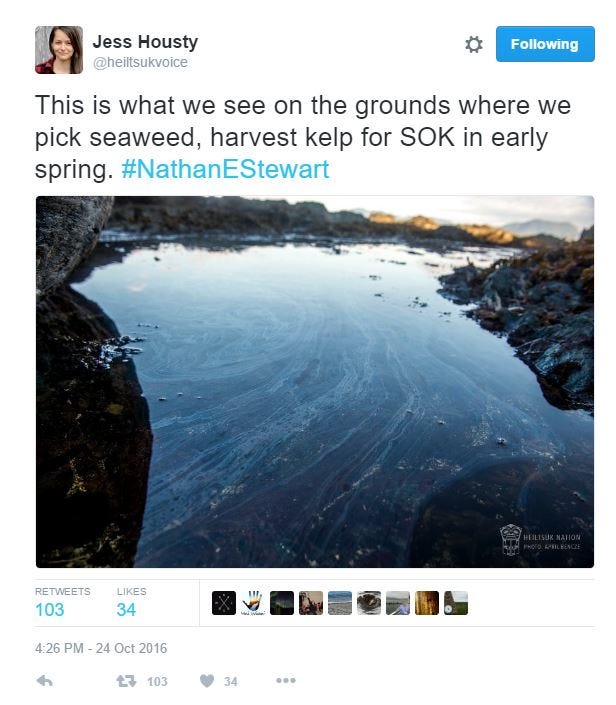 Video: BC’s “World Class” spill response a world class fail | by For ...