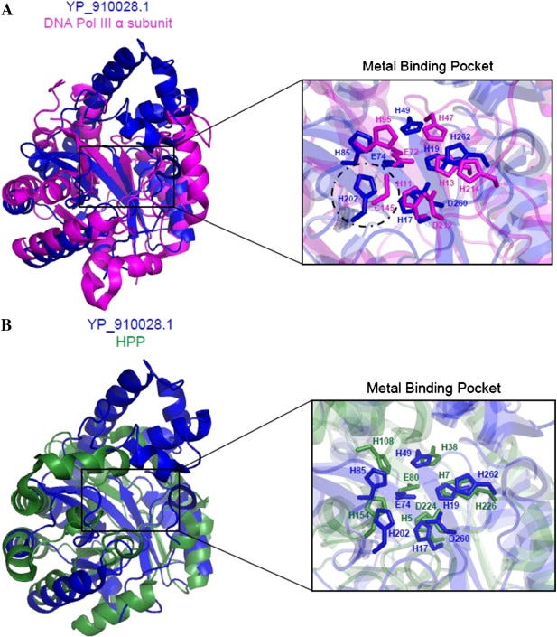 Biochemical Functional Predictions For Protein Structures Of Unknown Or
