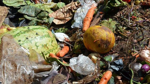 Effects of Food Waste and Food Loss response in Environmental ...
