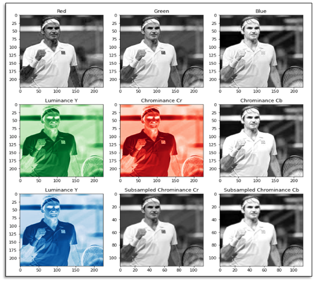 Image Augmentation. The success of data science lies in the… | by Abby ...