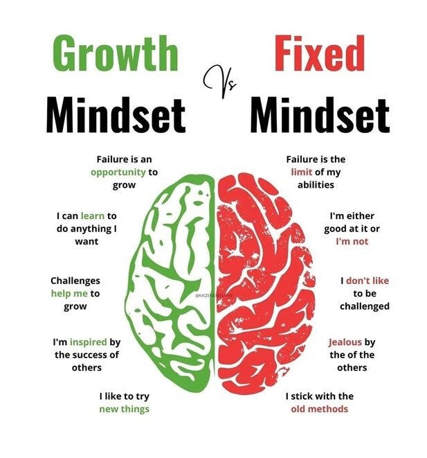 🌱 Cultivating a Growth Mindset. In our journey towards personal and ...