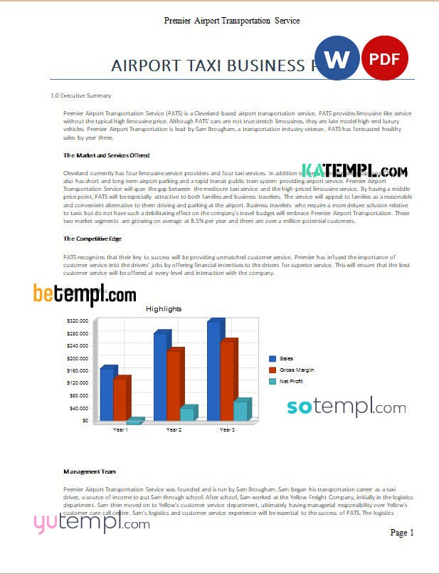 airport taxi business plan template in Word and PDF formats | by ...
