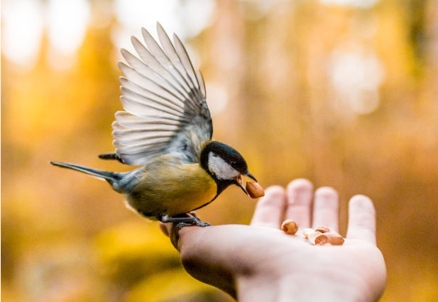 From C# to Go — Comparing anonymous types | by Mirza Merdovic | Medium ...