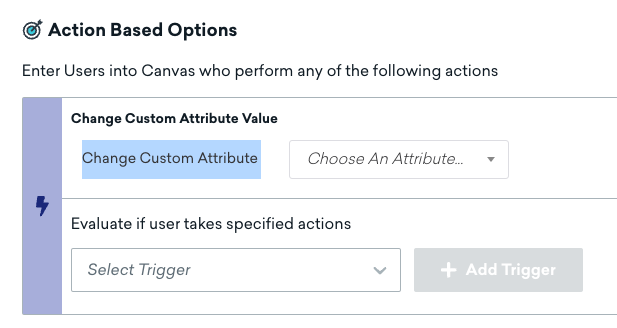 Braze Delivery & Entry Types: Change Custom Attribute Value Deep Dive ...