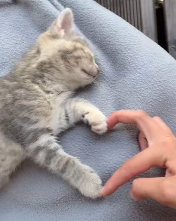 To You, From Me, in 2023;. To you in 2023; | by Tilly Main | Medium