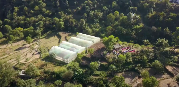 A Day at Sattva Farm | Nourishing Body and Soul | by ANAND MEHROTRA ...