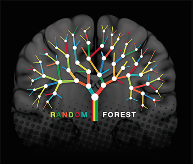 A Random Walk in a Forest. Tuning the Random Forest Algorithm with ...