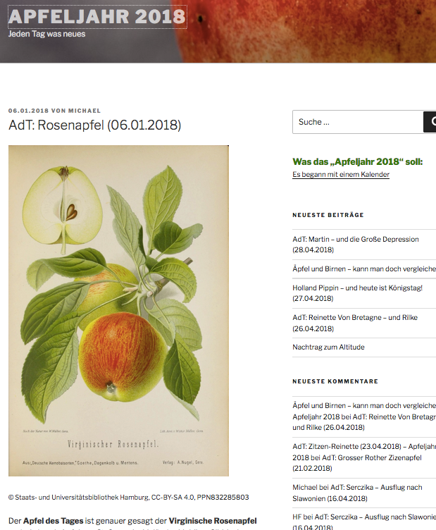23. Virginische Rosenapfel. Some information and links to read. | by ...