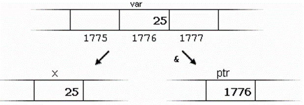 Chapter 5: Arrays and Structures. 5. What is An array? | by Tesfay G ...