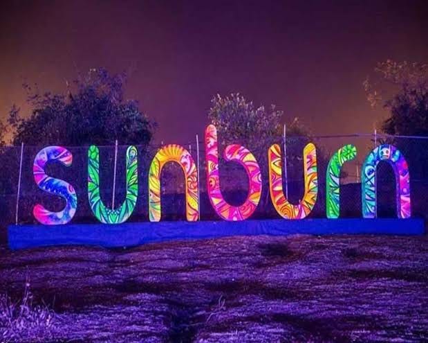 Join the Ultimate (SunBurn) Event – A Summer Experience | by Deepansh ...