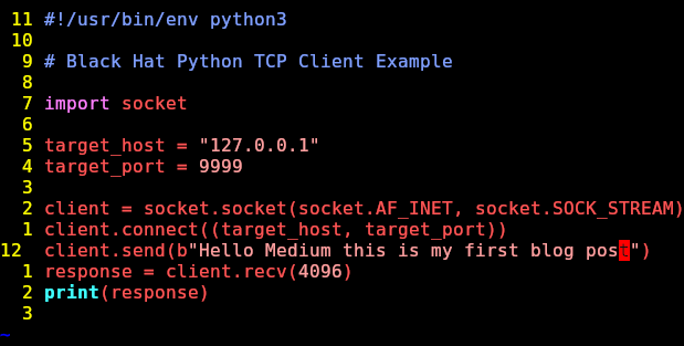 Black Hat Python Journey. One of the first steps in my Black Hat… | by Secret | Aug, 2025 | Medium