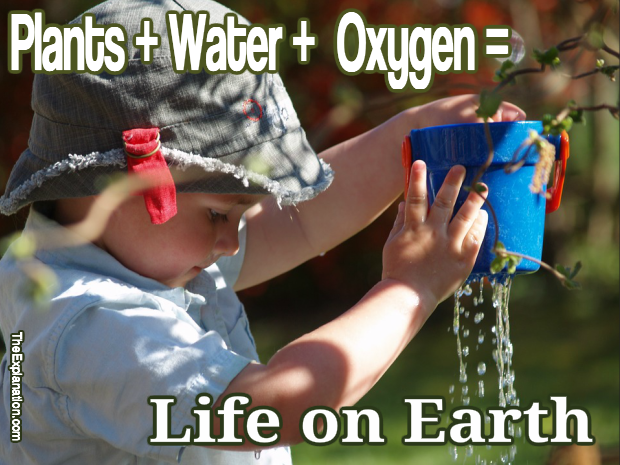 Plants & Water & Oxygen = Life on Earth | by Sam Kneller - Biblical ...