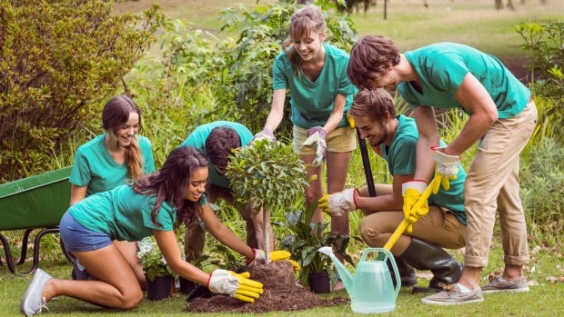 Environmental nonprofits that have been making a difference | by West ...