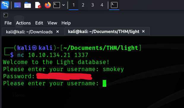 Light | TryHackMe | Walkthrough. This is a writeup for Light room. | by Eraybeylik | Jan, 2025 ...