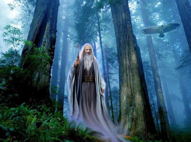 Why Did Ancient Romans Destroy the Druids? | by SPQR | Ancient Rome and ...