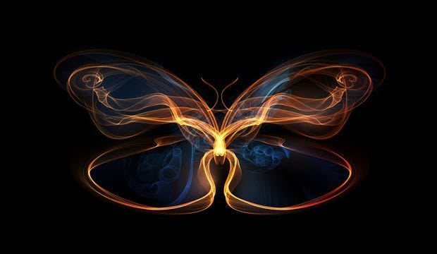 A Layman’s Guide to the Butterfly Effect | by Fariha Amanat | Medium