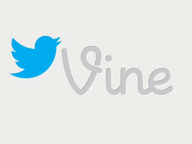 All About Vine. And What It Can Do For Your… | by Ample Earth | Medium