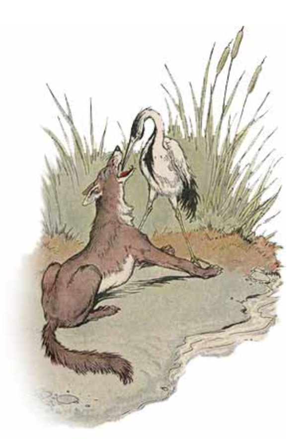The Wolf & the Crane. A Wolf had been feasting too greedily… | by ...