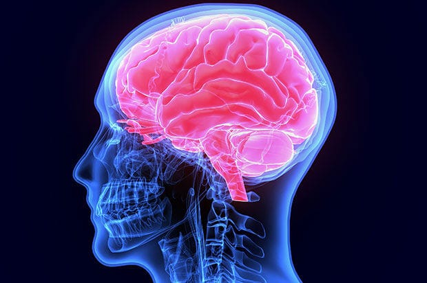How to Make Your Brain “Soft and Pliable” and Improve Your Memory! | by ...