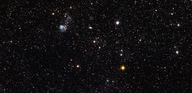 Seppel. “Okay folks, I don’t know what this is… | by Colin Heisler | Medium