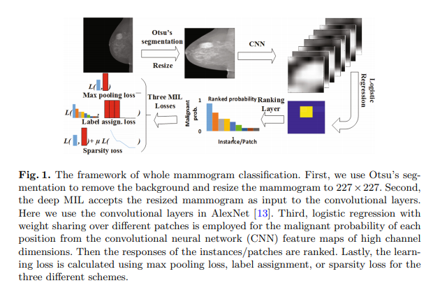 医学图像论文翻译. Deep Multi-instance Networks with… | by Aurora | Medium