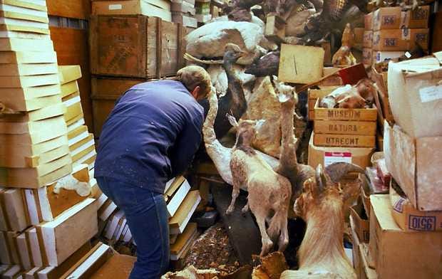 This Real-Life Noah Built His ‘Ark’ Underground | by K. Thor Jensen ...